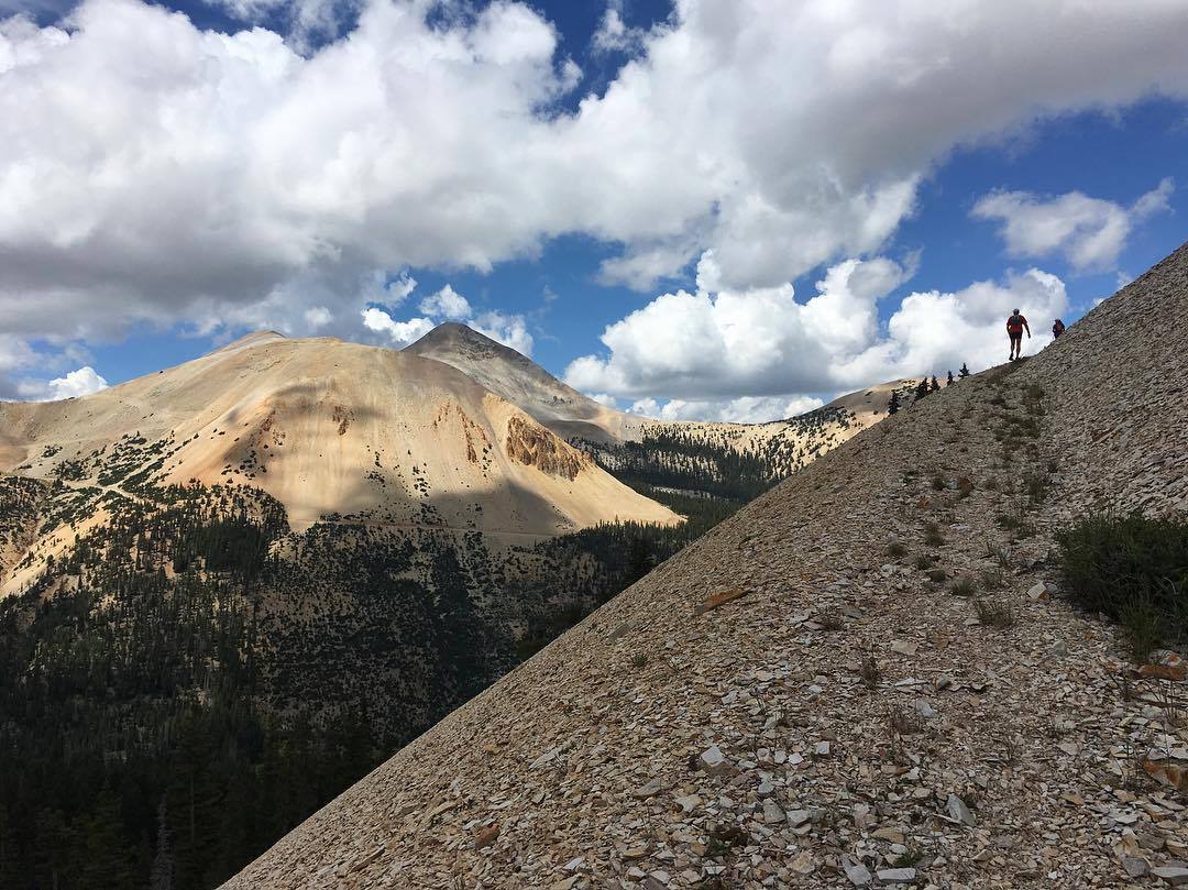 Tushars Mountain Runs | 100K | 70K | | Marathon | 1/2 Marathon ...