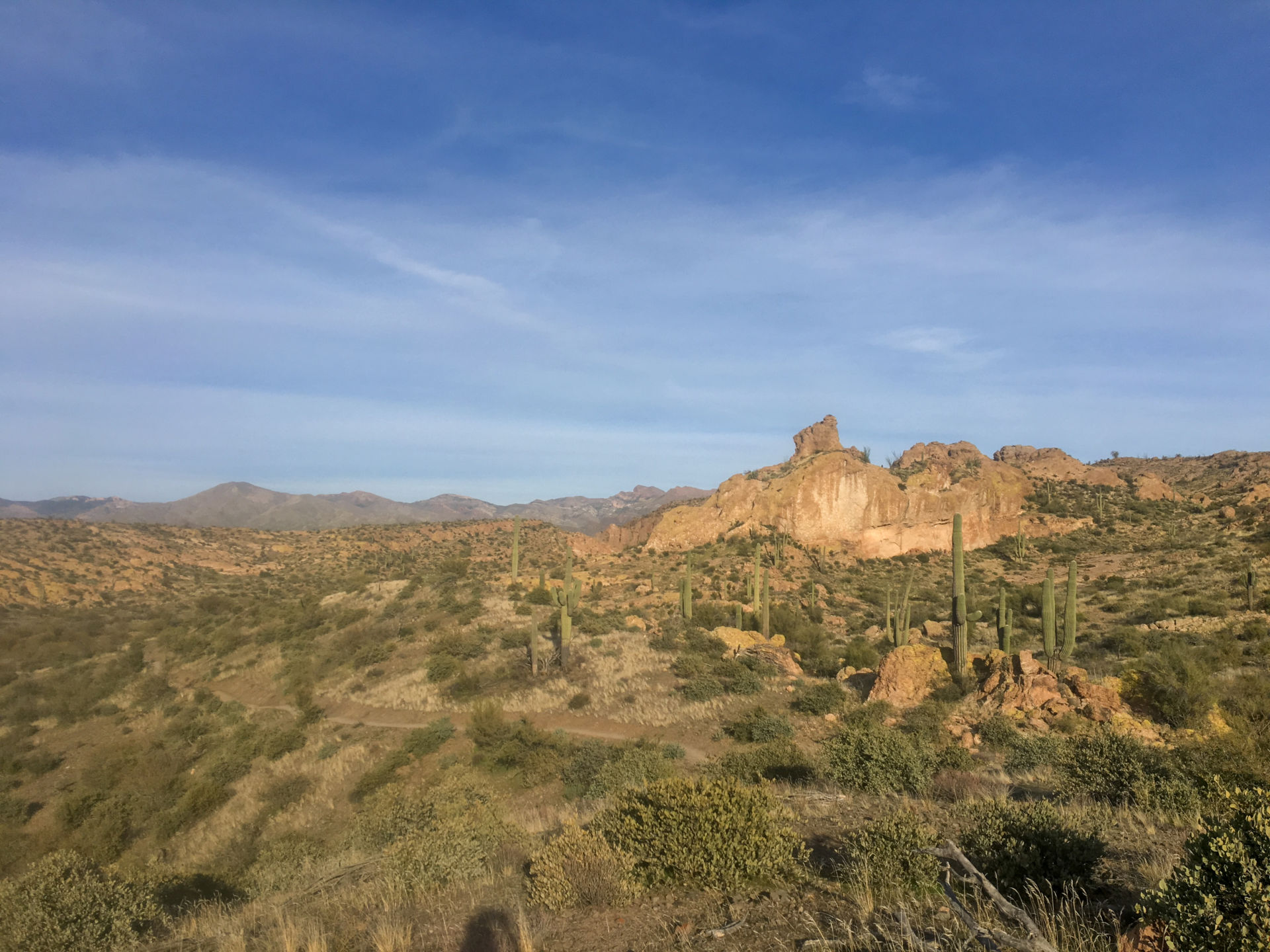 Copper Corridor Trail Runs | Aravaipa Running